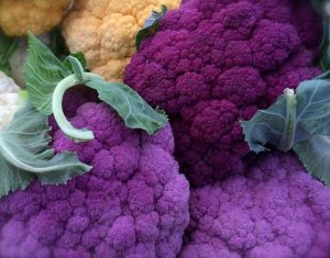 seminte de legume profesionale - Bulbi Flori