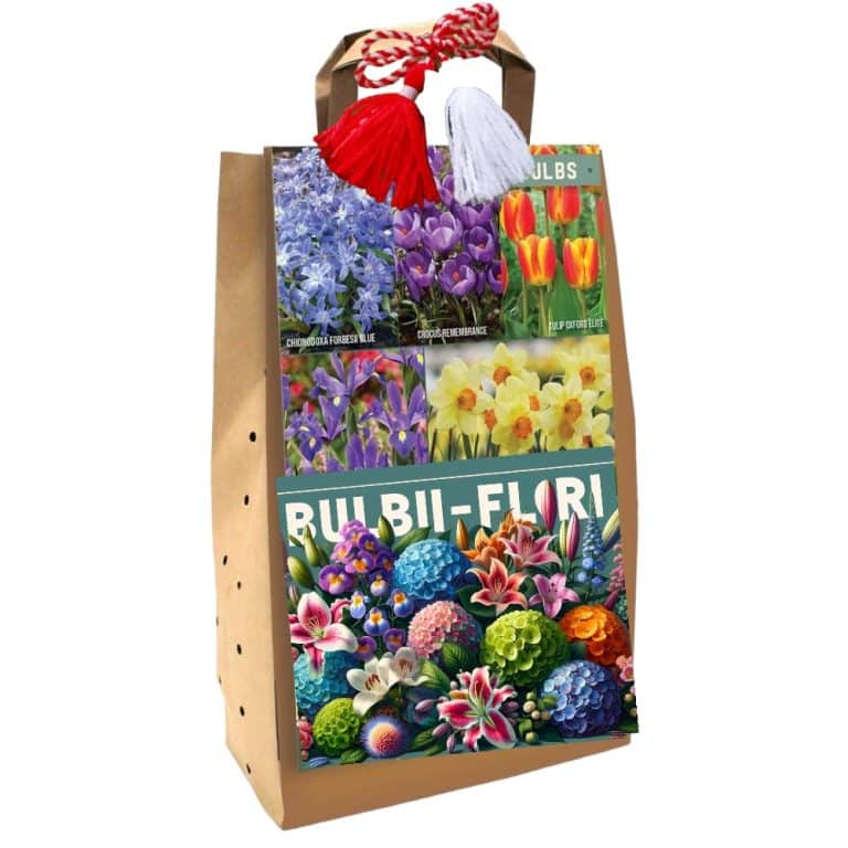 Pachet Bulbi Martisor - Set de Bulbi de Flori pentru Gradina 50 bulbi ...